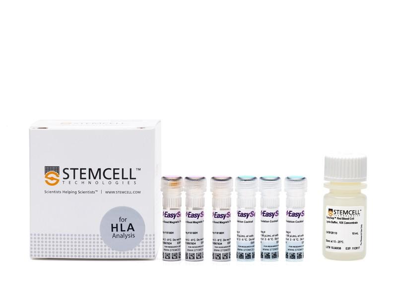 検索結果 | ベリタス